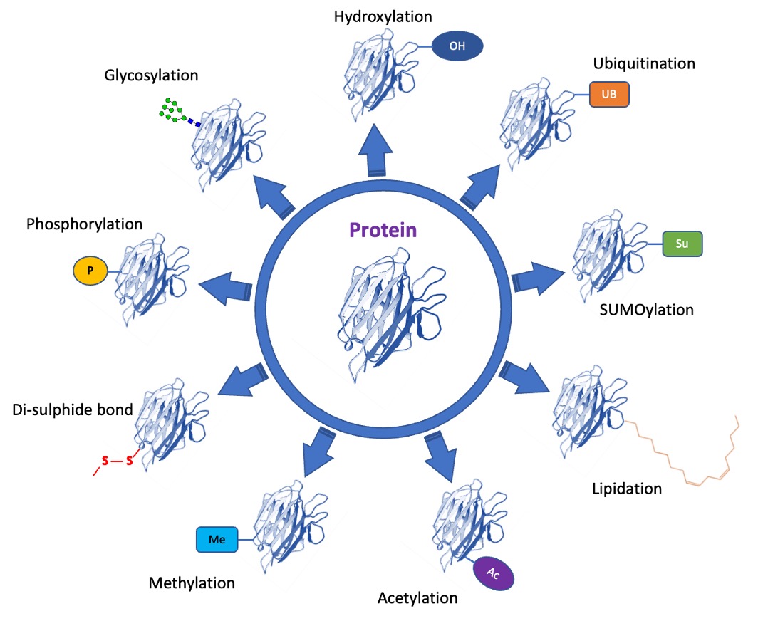 Nordic Preclinical Sciences PTMs Nordic Preclinical Sciences PTMs